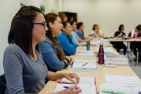 Indigenous Early Childhood Education (INECE) Level 1 - Online - SIIT